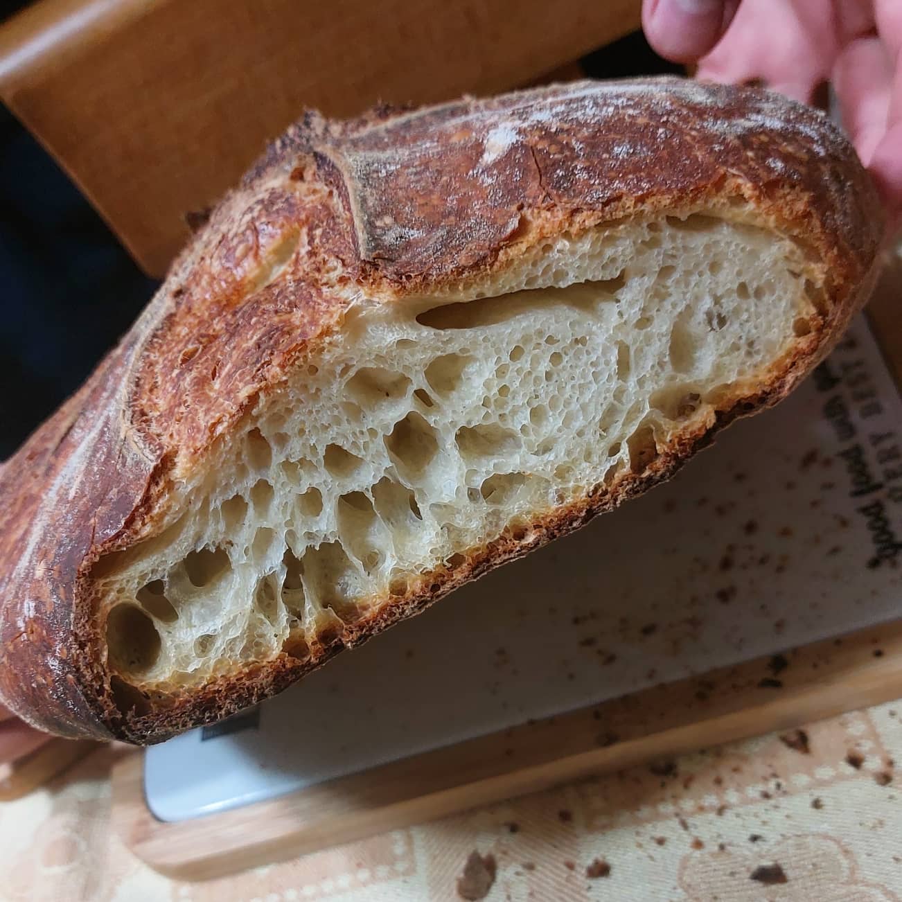 Pane fatto in casa - Crosta Croccante e Mollica morbidissima Pappa Blog